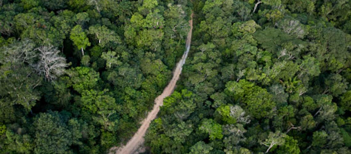 ContextoExato - Amazônia tem mais de 3 milhões de km de estradas não ...