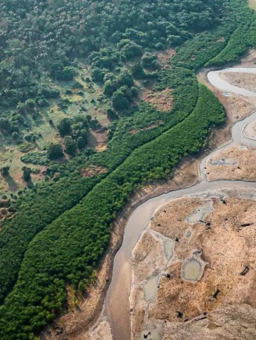 ContextoExato - Segundo o BNDES, dezesseis projetos concorrem em edital ...