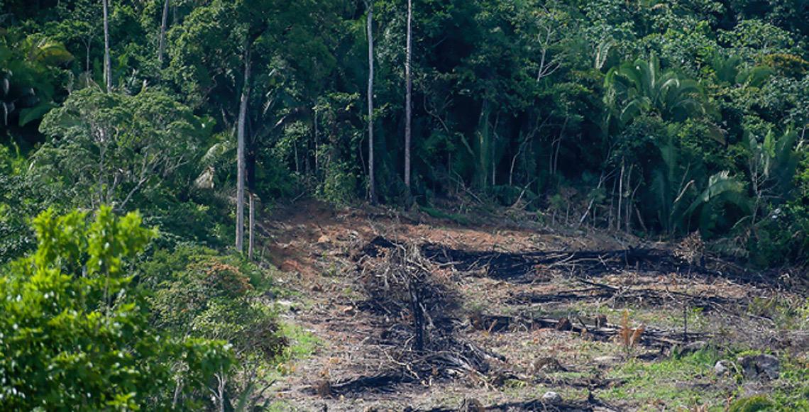 ContextoExato - Mudanças climáticas e eventos extremos na Amazônia ...